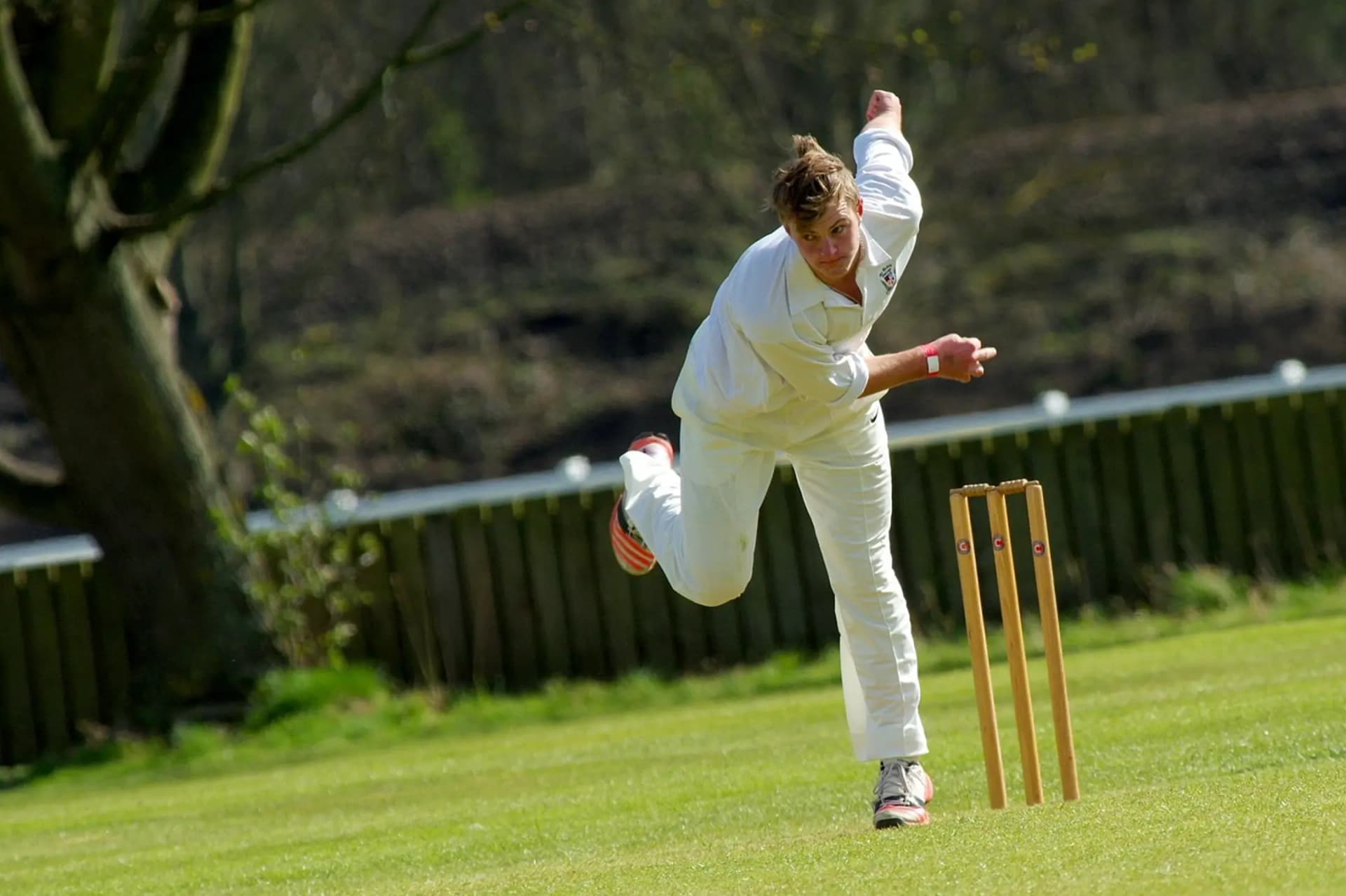 Cricket Highlight Video Maker