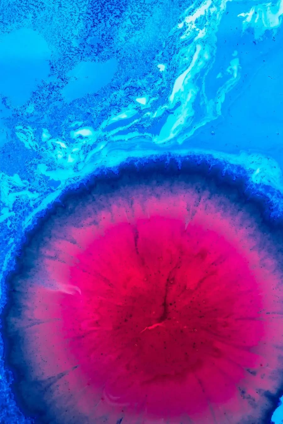 VIDIO Video Quality Improver - Example 2